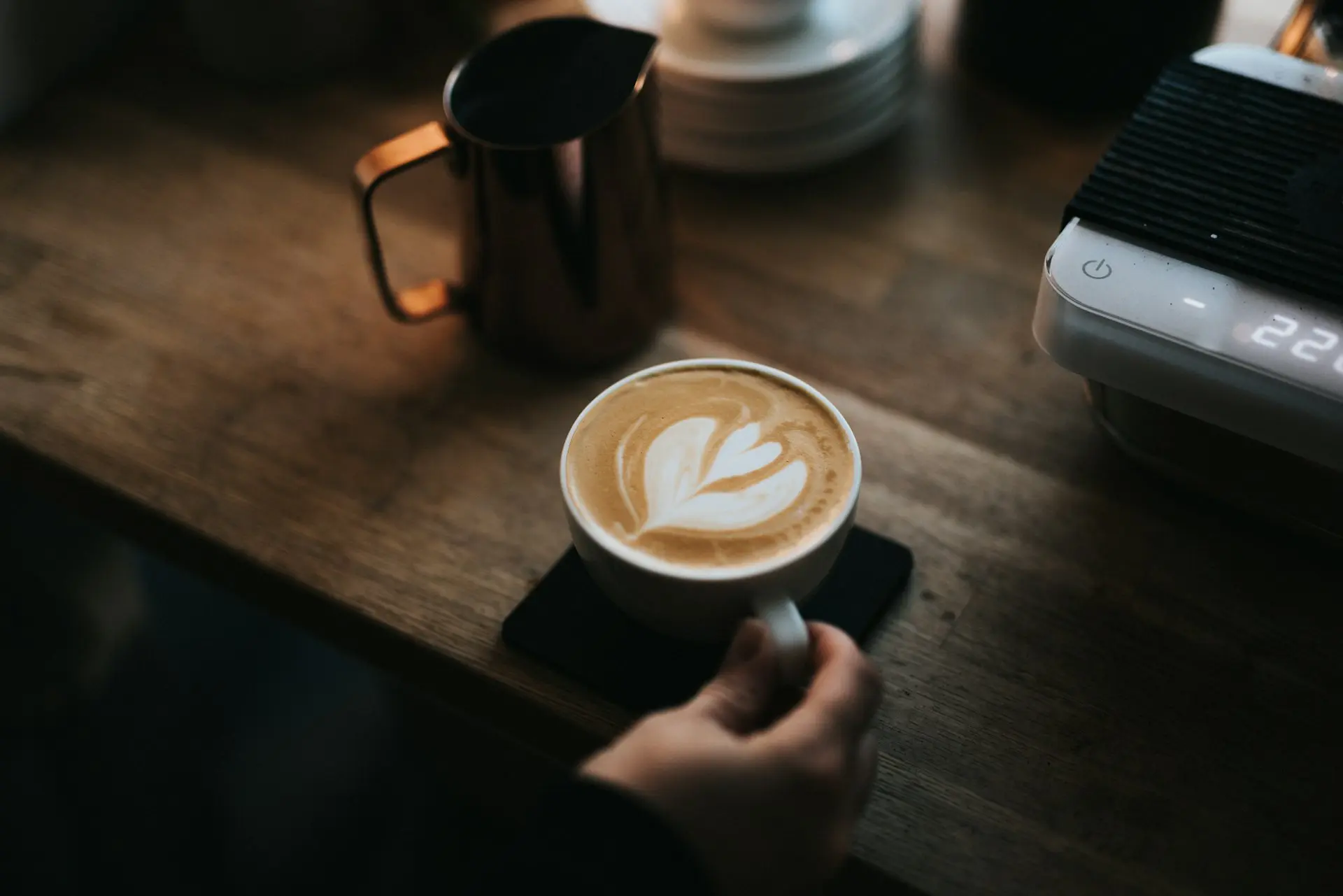 What is the barista career for new beginners? | WSCAFE